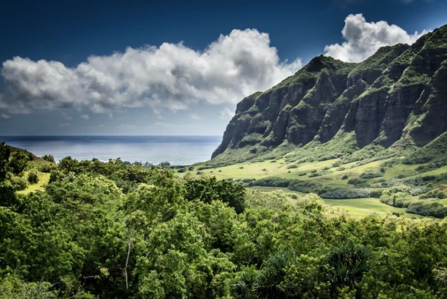 Oahu Hidden Gems & Waimea Botanical Garden/Waterfall tour - Transport and Group Dynamics
