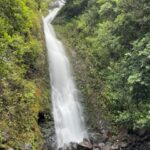 Oahu: Hidden Hawaii Waterfall Hike and Beach Tour - The Itinerary: Unpacking the Adventure