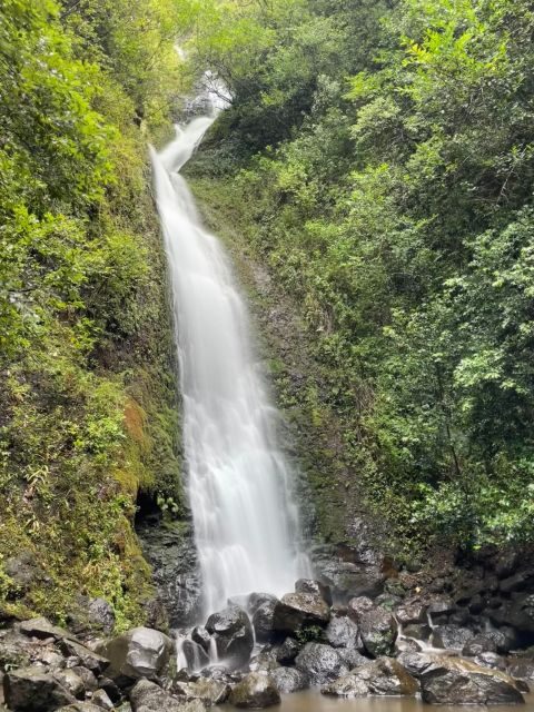 Oahu: Hidden Hawaii Waterfall Hike and Beach Tour - The Itinerary: Unpacking the Adventure