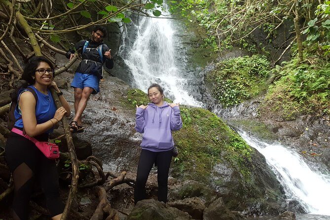 Oahu Hidden Waterfall Hike: A Tropical Paradise Adventure - Why You’ll Love This Waterfall Hike in Oahu