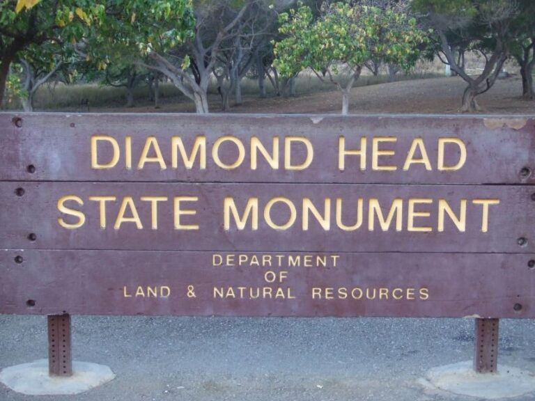 Oahu: Honolulu to (1st) Diamond Head Shuttle with Malasada - The Overview: What This Tour Offers