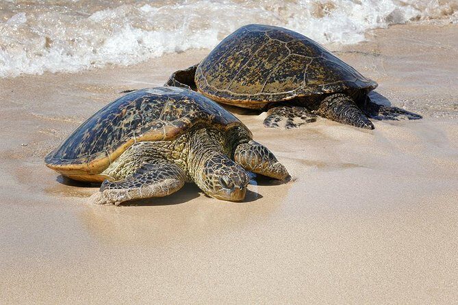 Oahu Island Photography Tour - The Value for Your Money