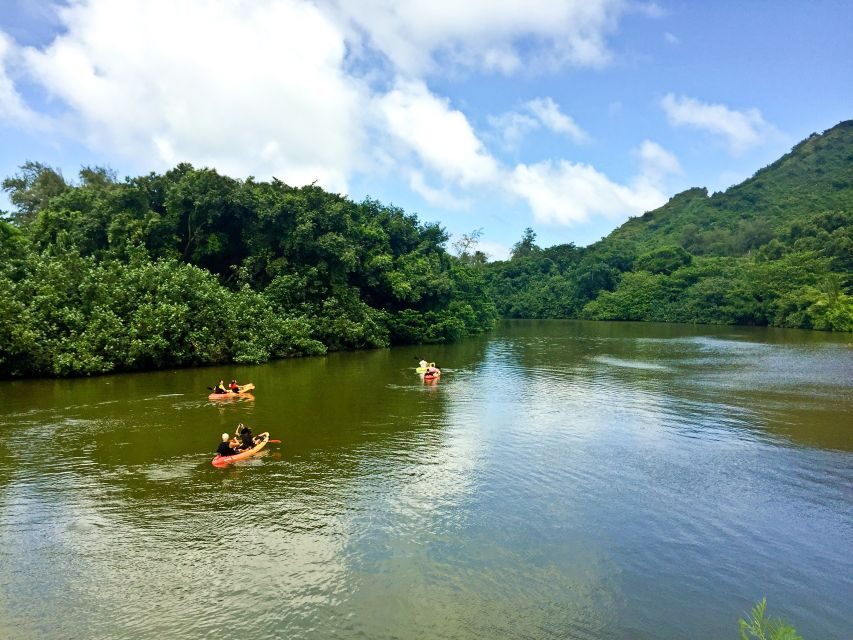 Oahu: Kahana Rainforest River 4-Hour Kayak Rental - Who Will Love This Experience?
