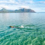Oahu: Kaneohe Bay Coral Reef Kayaking Rental - What Makes This Experience Truly Special