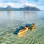 Oahu: Kaneohe Self-Guided Sandbar Kayaking Experience - Detailed Review of the Kaneohe Sandbar Kayaking Experience