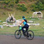 Oahu: Kualoa Electric Bike Tour - Who Is This Tour Best For?