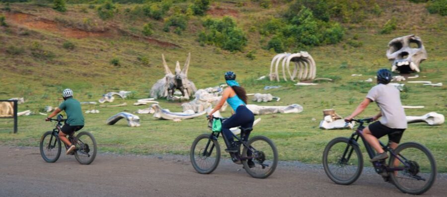 Oahu: Kualoa Electric Bike Tour - Who Is This Tour Best For?