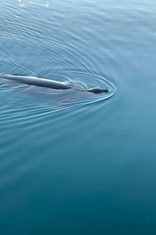Oahu: Luxury Day Sailboat Charter - An In-Depth Look at the Experience