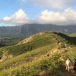 Oahu: Manoa Falls Hike and east side beach day - A Close Look at the Tour Itinerary and What Youre Getting