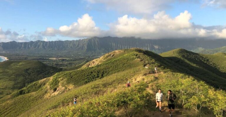 Oahu: Manoa Falls Hike and east side beach day - A Close Look at the Tour Itinerary and What Youre Getting