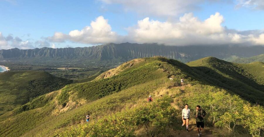 Oahu: Manoa Falls Hike and east side beach day - A Close Look at the Tour Itinerary and What Youre Getting