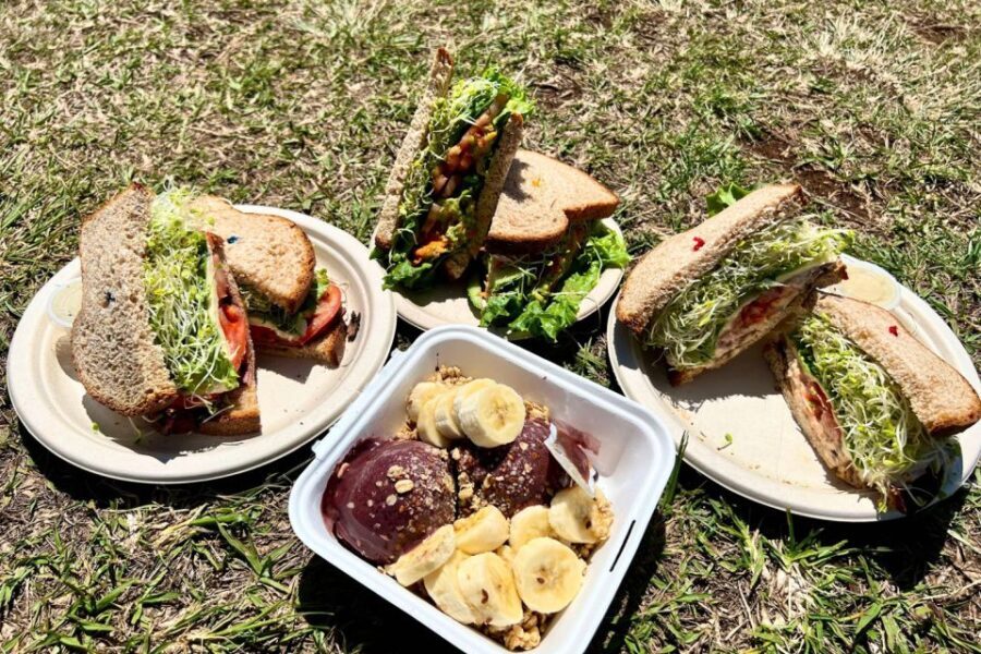 Oahu: Manoa Falls Waterfall Hike with Lunch and Transfers - Exploring the Itinerary in Detail