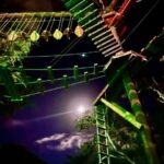Oahu: Night Ninja Adventure Course - What Makes the Challenge Special?