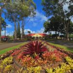 Oahu: North Shore Experience and Dole Plantation - Exploring the Itinerary and What You’ll Experience