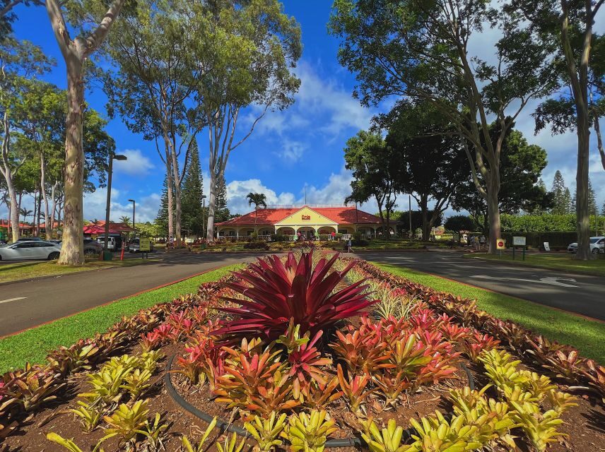 Oahu: North Shore Experience and Dole Plantation - Exploring the Itinerary and What You’ll Experience