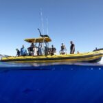 Oahu: North Shore Marine Life Tour from Haleiwa - Who Should Consider This Tour