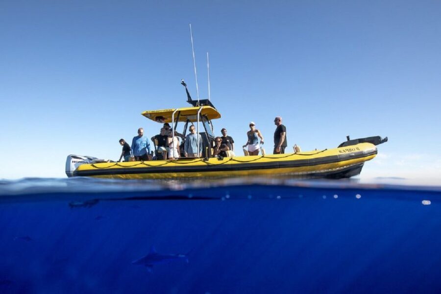 Oahu: North Shore Marine Life Tour from Haleiwa - Who Should Consider This Tour