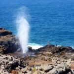 Oahu: Oahu Ultimate Grand Circle Island Tour - The Real Experience: Guided Commentary and Group Atmosphere