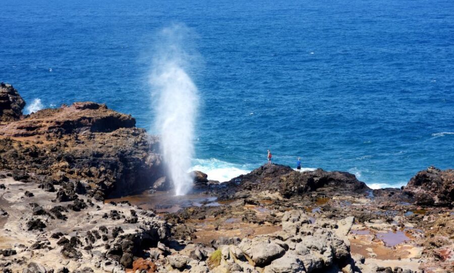 Oahu: Oahu Ultimate Grand Circle Island Tour - The Real Experience: Guided Commentary and Group Atmosphere