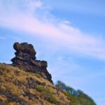 Oahu Off the Beaten Path Small-Group Tour from Honolulu - What Makes This Tour Stand Out