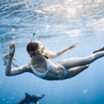 Oahu Open Water Shark Diving Experience - How the Tour Is Organized