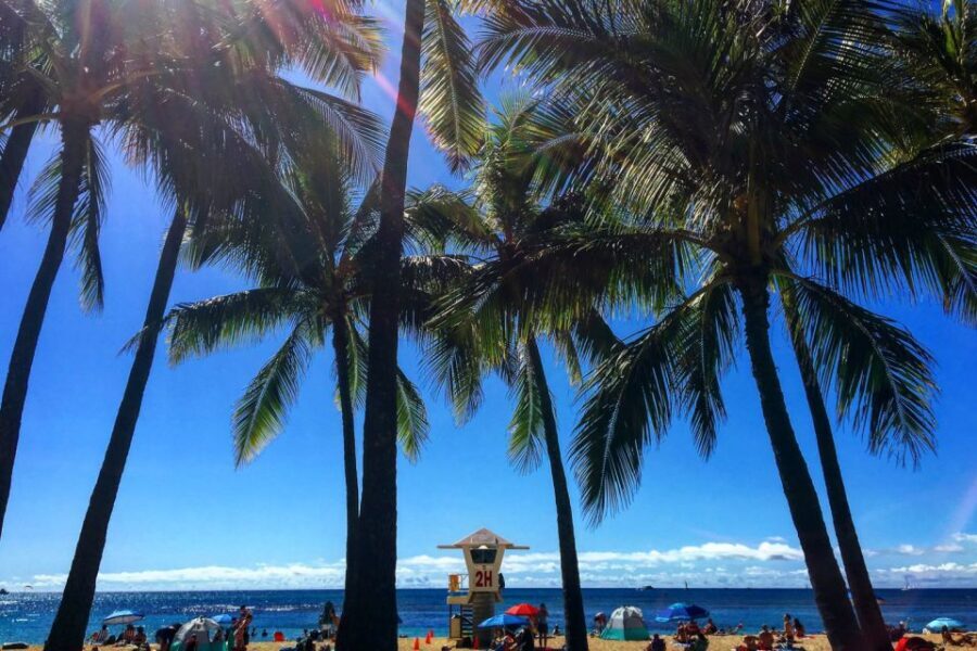 Oahu: Pearl Harbor and Honolulu City Tour - A Detailed Look at the Tour Experience