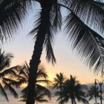Oahu Personalized Private Tour - Sandy Beach and Makapuu Point