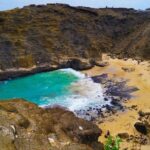 Oahu Polo Game and Private Island Tour from Honolulu - The Polo Match Experience