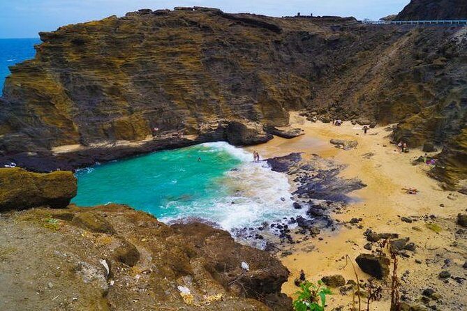 Oahu Polo Game and Private Island Tour from Honolulu - The Polo Match Experience