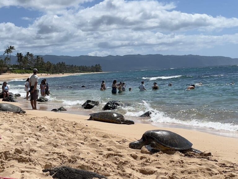 Oahu: Private Tour-Circle Island-Customizable - The Real Value of This Tour