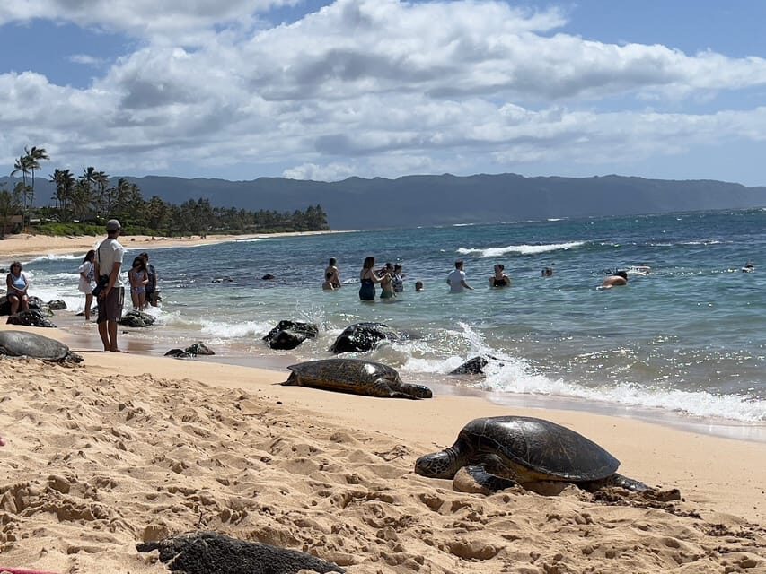 Oahu: Private Tour-Circle Island-Customizable - The Real Value of This Tour
