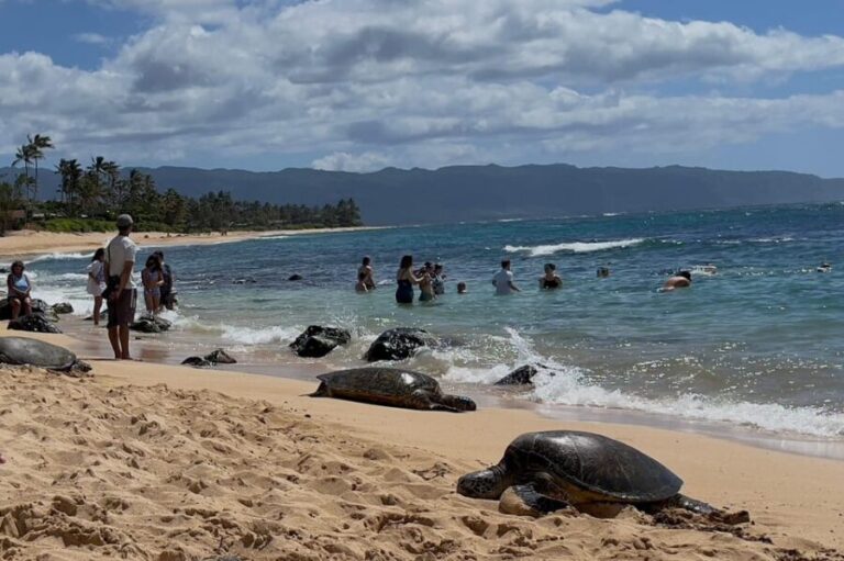 Oahu: Private Tour-North Shore feat. Waimea Falls - Who Will Love This Tour?