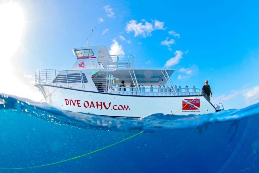 Oahu: Shallow Reef Scuba Dive for Certified Divers - Navigating the Underwater Experience in Honolulu