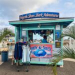 Oahu: Shark Cage Dive on the North Shore - Setting the Scene: What to Expect on this Shark Adventure