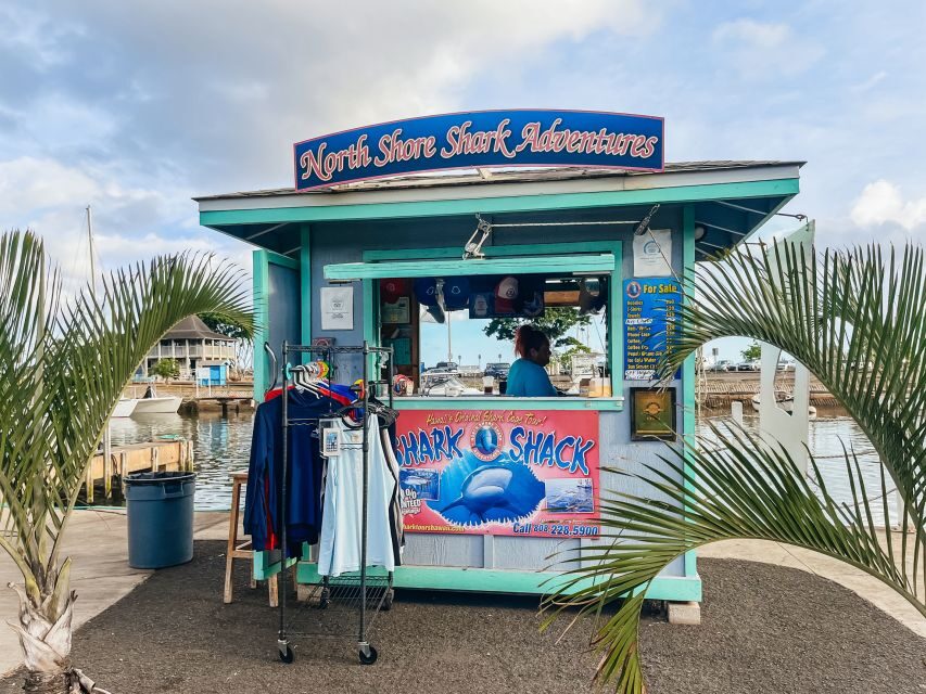 Oahu: Shark Cage Dive on the North Shore - Setting the Scene: What to Expect on this Shark Adventure