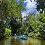 Oahu: Single & Double Kayak 3-Hour River Rental - What to Expect: A Practical Breakdown