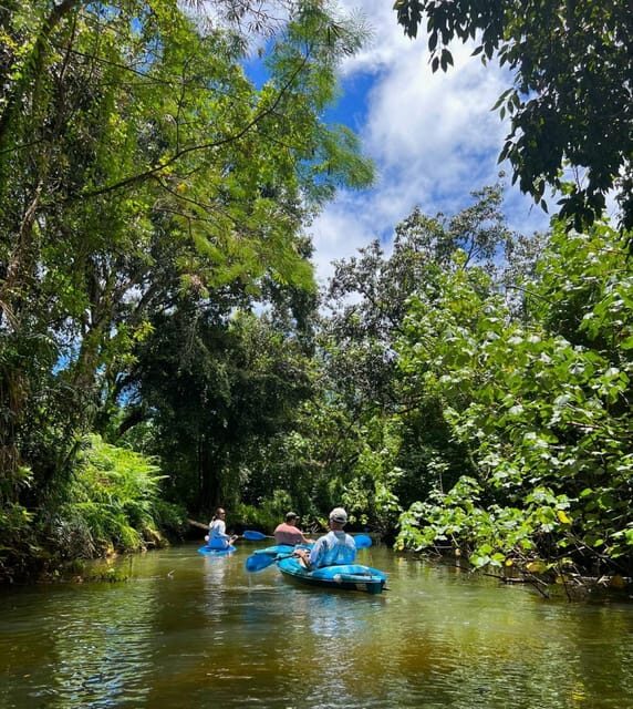 Oahu: Single & Double Kayak 3-Hour River Rental - What to Expect: A Practical Breakdown