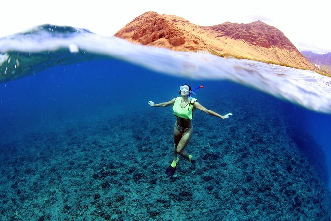 Oahu: Snorkeling and Dolphin Watch Cruise With Hawaiian Buffet - Culinary Highlights