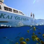 Oahu: Snorkeling & Dolphin Watch Cruise with Hawaiian Buffet - Specifics That Matter