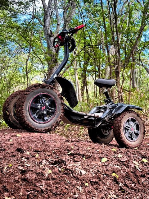Oahu: Stand-Up ATV Adventure at Coral Crater Adventure Park - Value and Booking Considerations