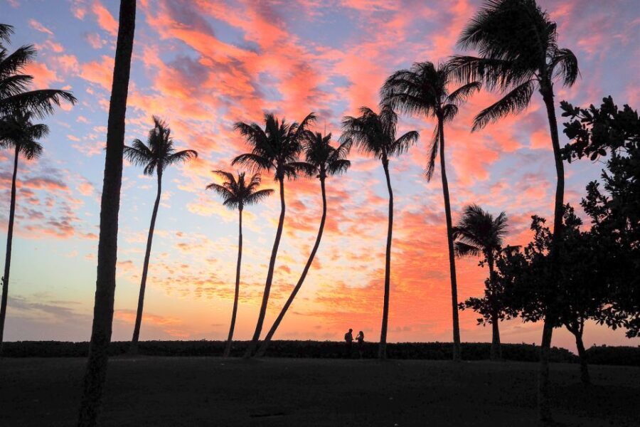 Oahu: Sunset Cruise of West Oahu with Drinks and Appetizers - The Itinerary: What to Expect Step-by-Step