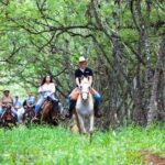 Oahu Sunset Horseback Ride - What You Can Expect on the Trail