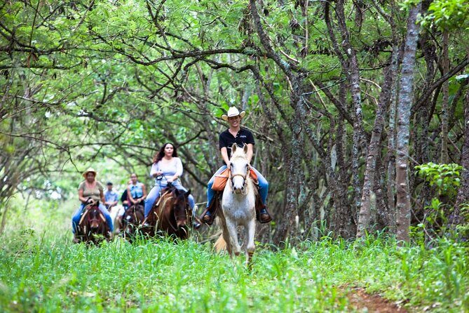 Oahu Sunset Horseback Ride - What You Can Expect on the Trail