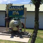 Oahu to Big Island : Big Island Volcano Helicopter Tour & Hilo 1 Day Tour - FAQ