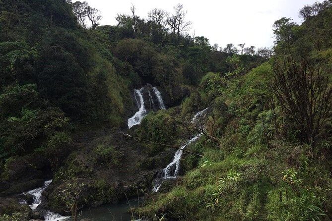 Oahu to Maui 1 Day Trip : Road to Hana Day Trip from Oahu with Air Ticket - Meal and Refreshments