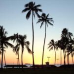 Oahu Tour - Pearl Harbor, Dole Pineapple & Oahu Tour - Exploring Hawaii’s Political and Cultural Heritage