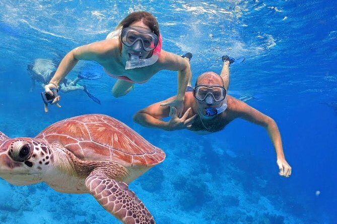 Oahu Ultimate Circle Island Tour Full Day Experience - Final Thoughts
