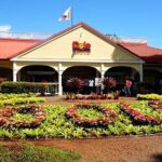 oahu VIP circle island tour,Private & LUXURY,northshore,sunset - What Makes This Tour Stand Out?