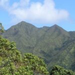 Oahu Volcanic Rainforest Hiking Adventure - The Sum Up: Is This Experience Worth It?