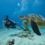 Oahu: Waikiki Discovery Scuba Diving for Beginners - The Itinerary: What You Can Expect